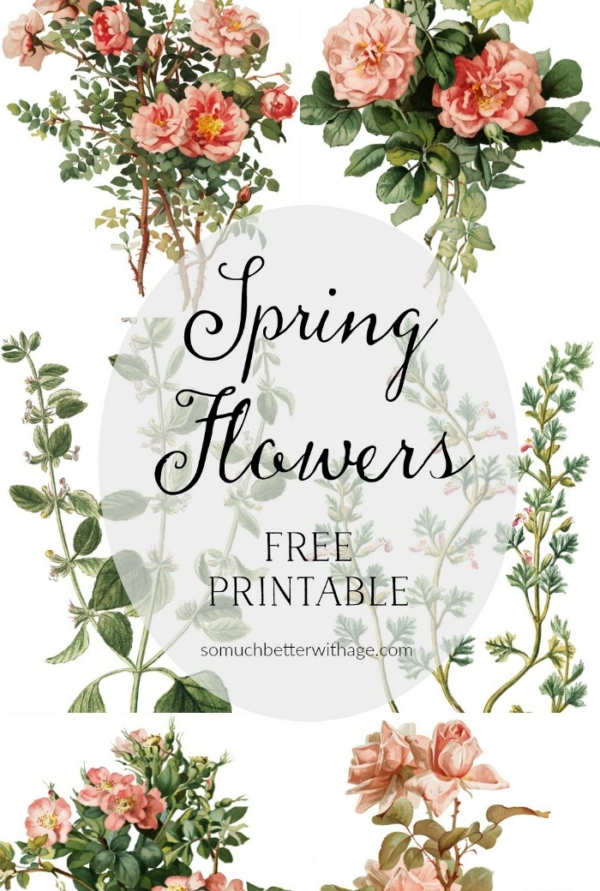 Spring Flowers on Silver Platters - Free Printables - Jamie Lundstrom