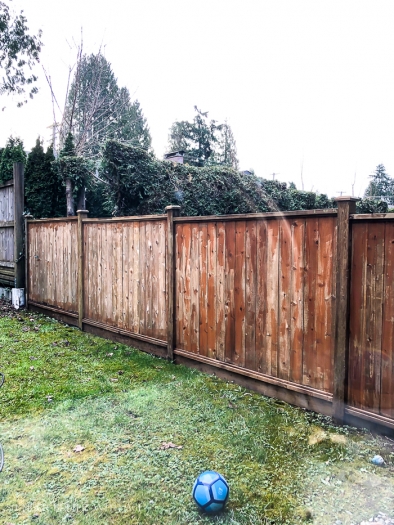 How to Prep and Re-Stain an Old Fence + Video - Jamie Lundstrom