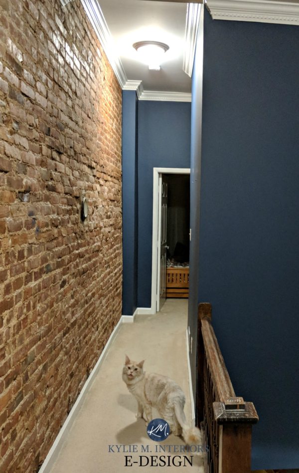 Best Navy Blue Paint Colors for Kitchen Cabinets (or Walls!) - Jamie ...